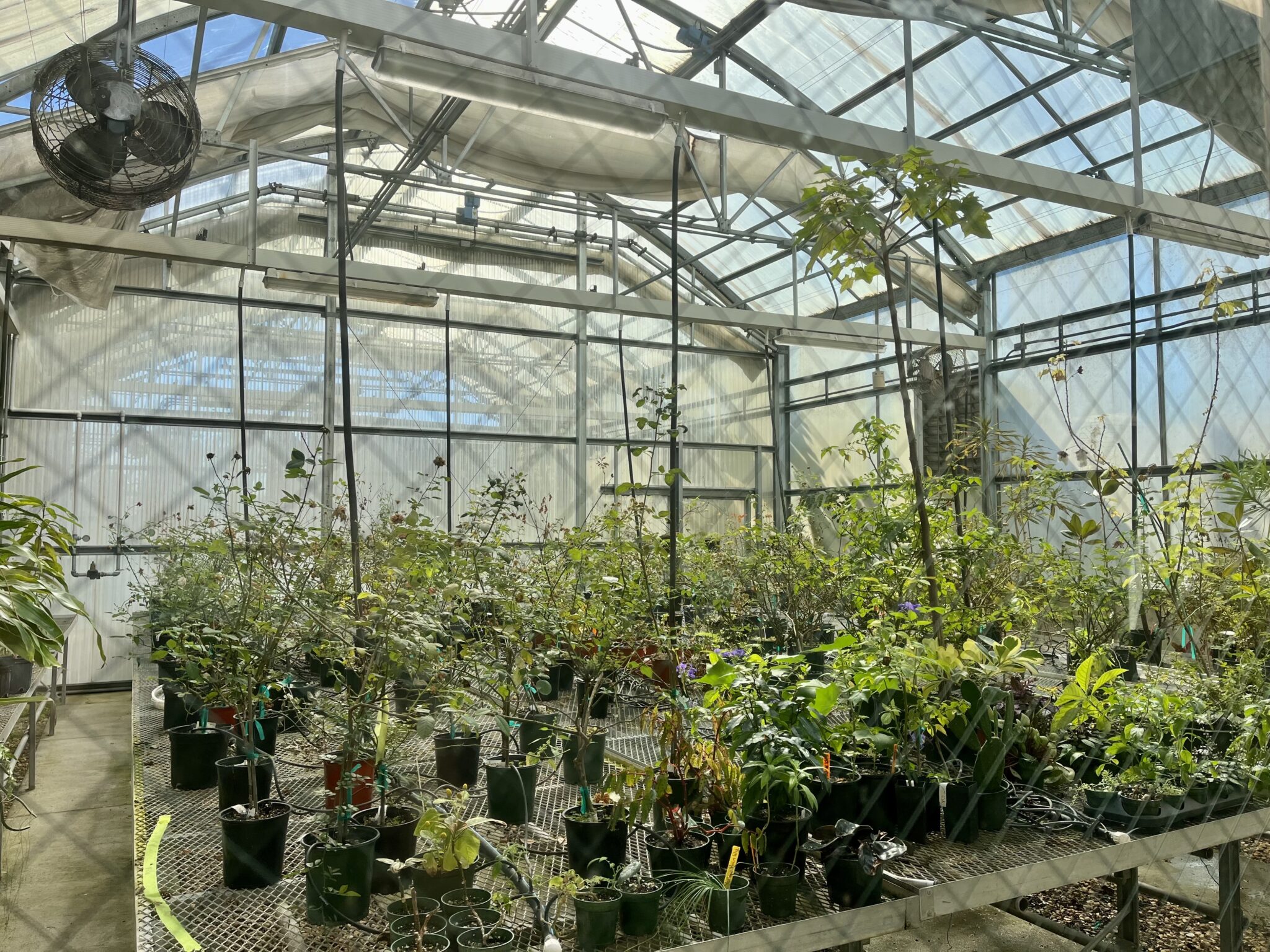 Business-oriented horticulture major to start next fall | The Southern ...